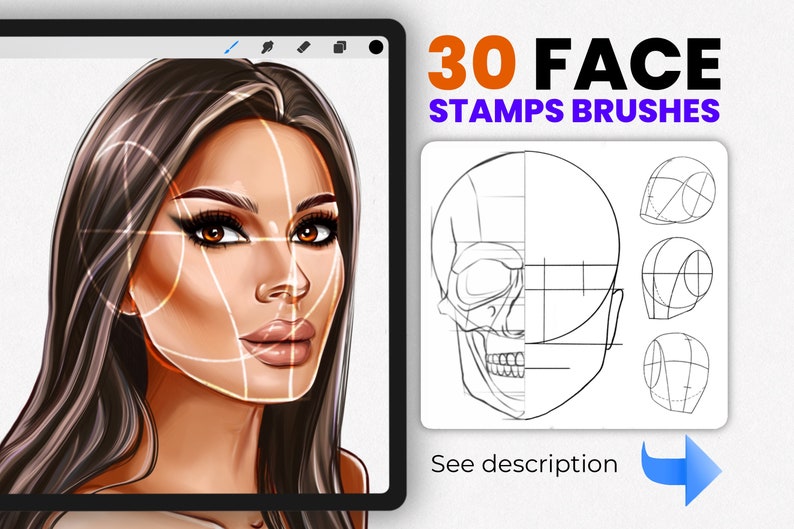 Procreate Portrait Guide Stamps Procreate Portrait Brushes - Etsy