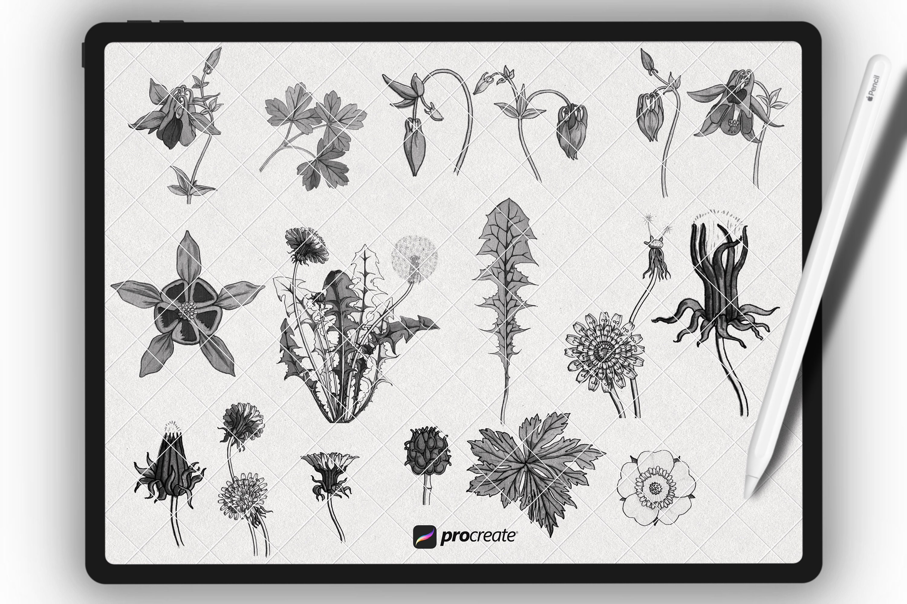 Sunflower Procreate Stamps Procreate Flower Brushes | Etsy