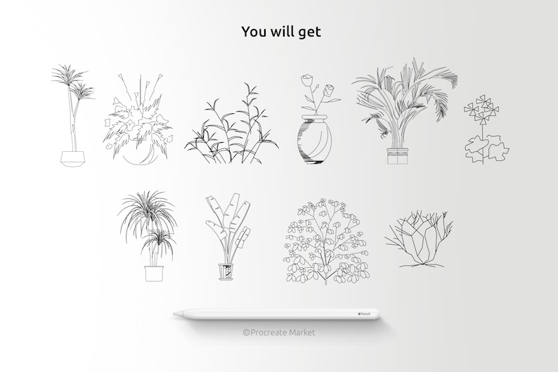 Procreate Tree Brushes Tree Stamp Set Procreate Brush Pack - Etsy