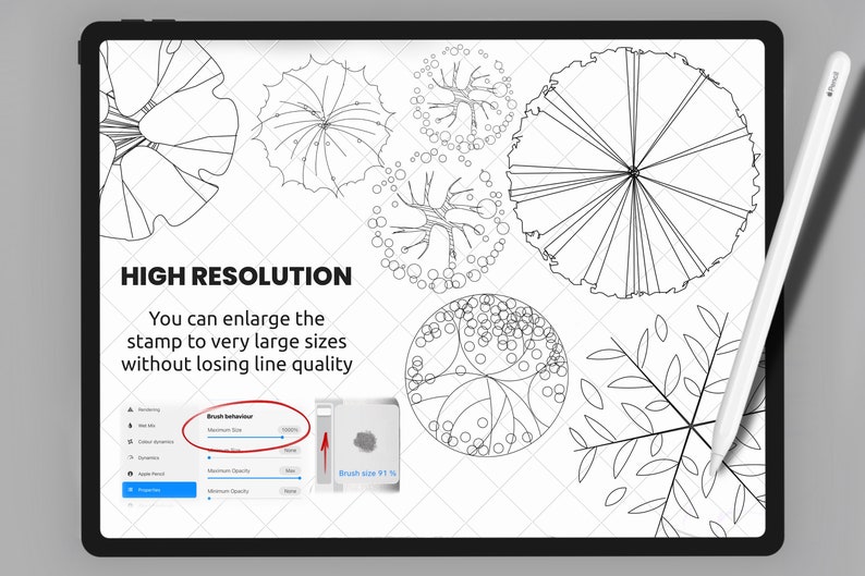250 Procreate Tree Brushes Tree Stamp Set Procreate Brush - Etsy