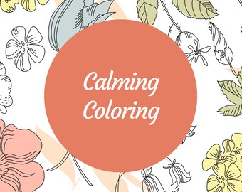 40 Pages Coney-island-park Coloring Pages. Perfect for Calming Your ...