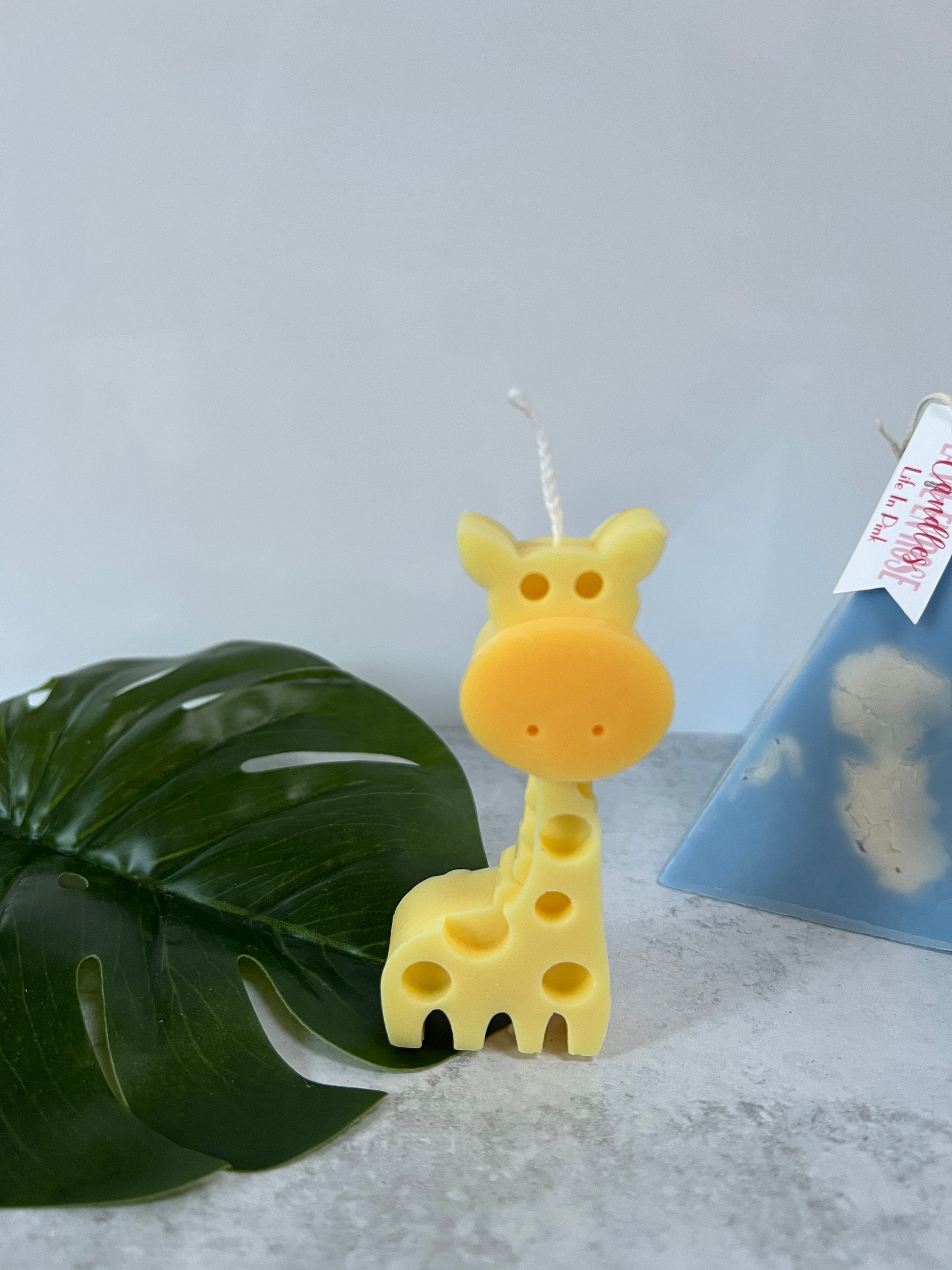 Safari Cake Candles, Zoo Animals, Jungle, Children's Party, Giraffe ...