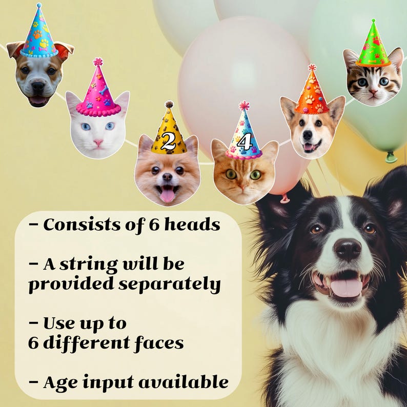 Custom Dog Birthday Party Hat Banner | Personalized Cat Party ...