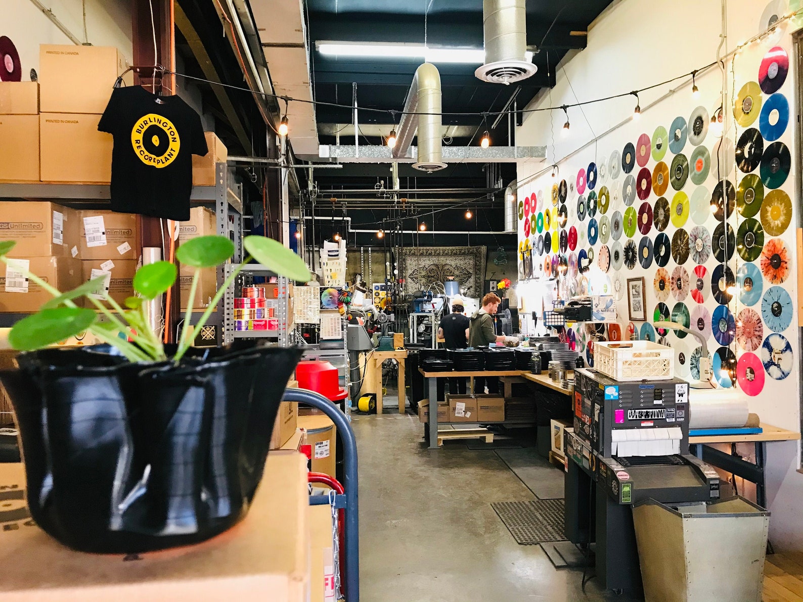 Vinyl Record Planter. the Authentic Record Plant Planter! - Etsy