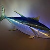 Exo-stencil Sailfish Tuna Blitz Handmade Metal Wall Sculpture With ...