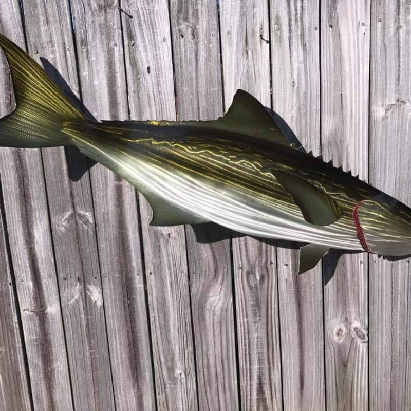 Cobia Fish Svg - Etsy