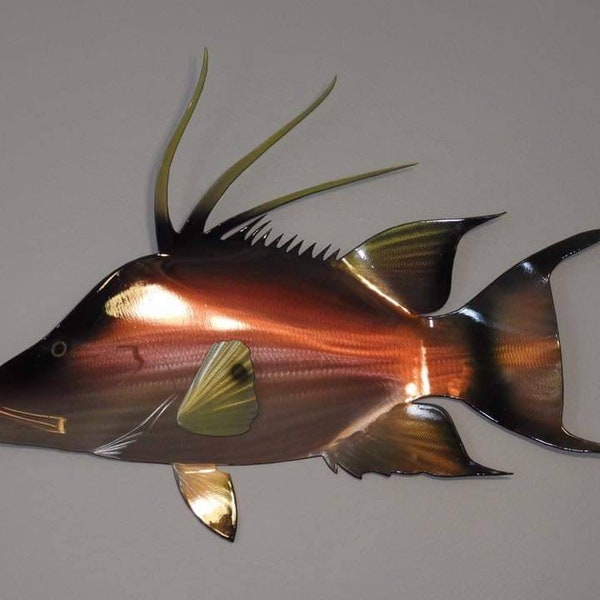 Hogfish - Etsy