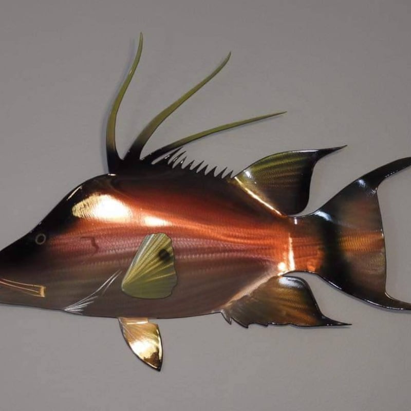 Hogfish - Etsy