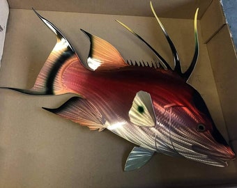Hogfish | Etsy