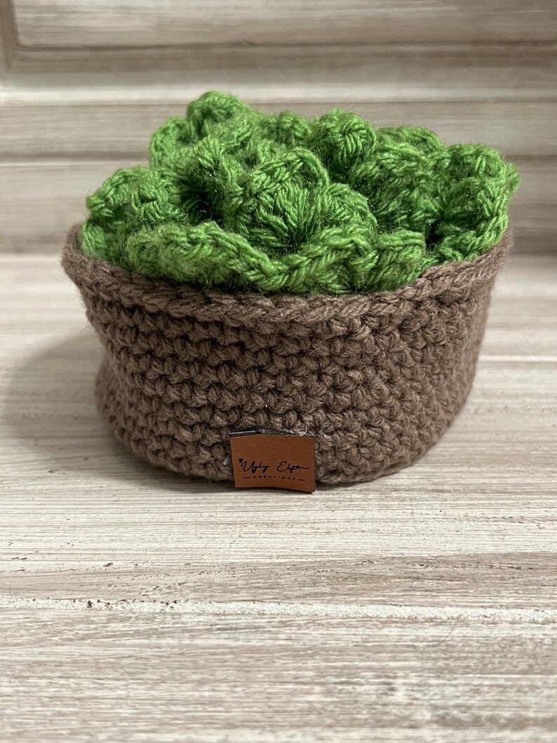 Crochet Succulent Coasters - Etsy