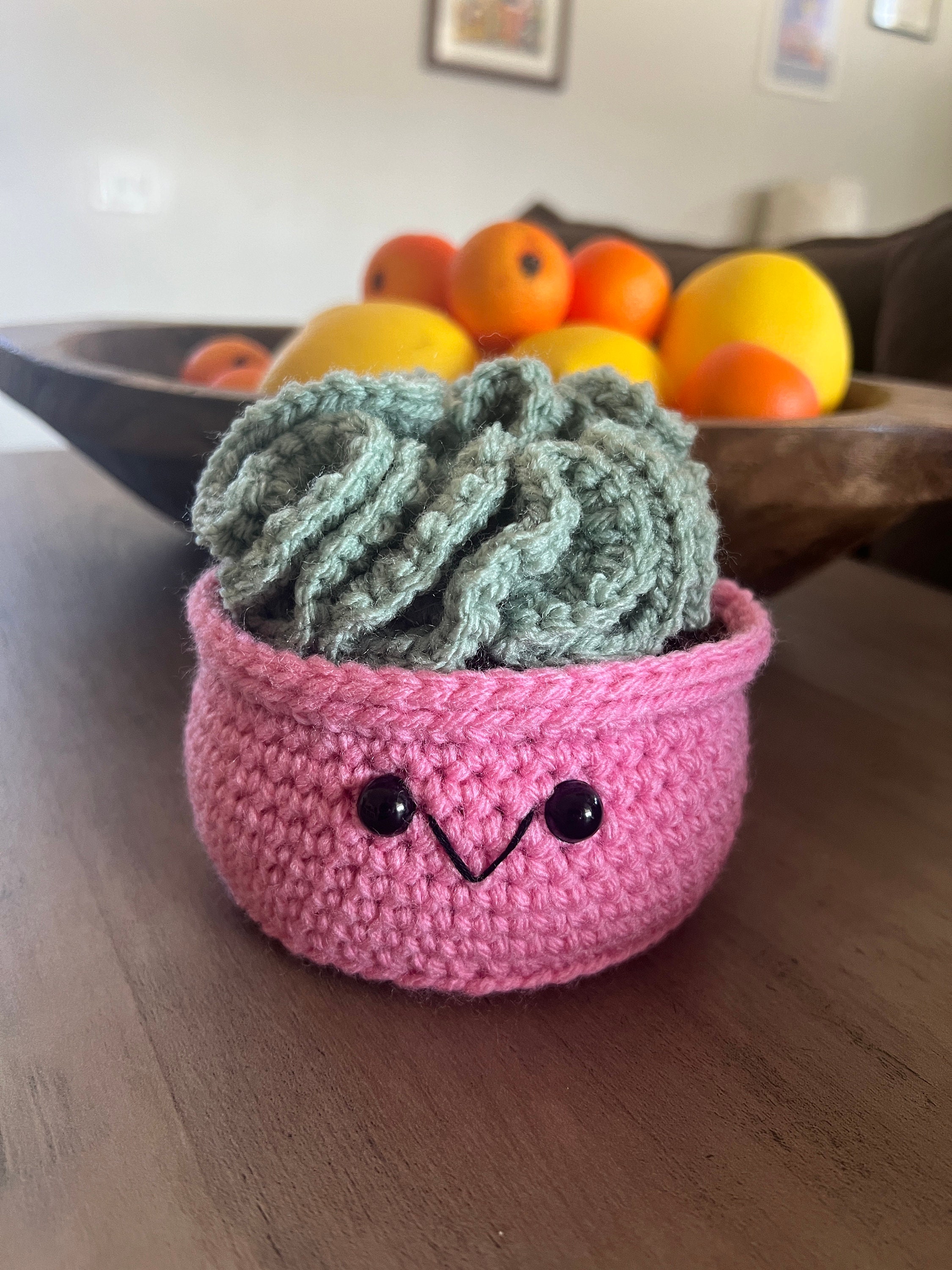 Brain Cactus Succulent - Etsy