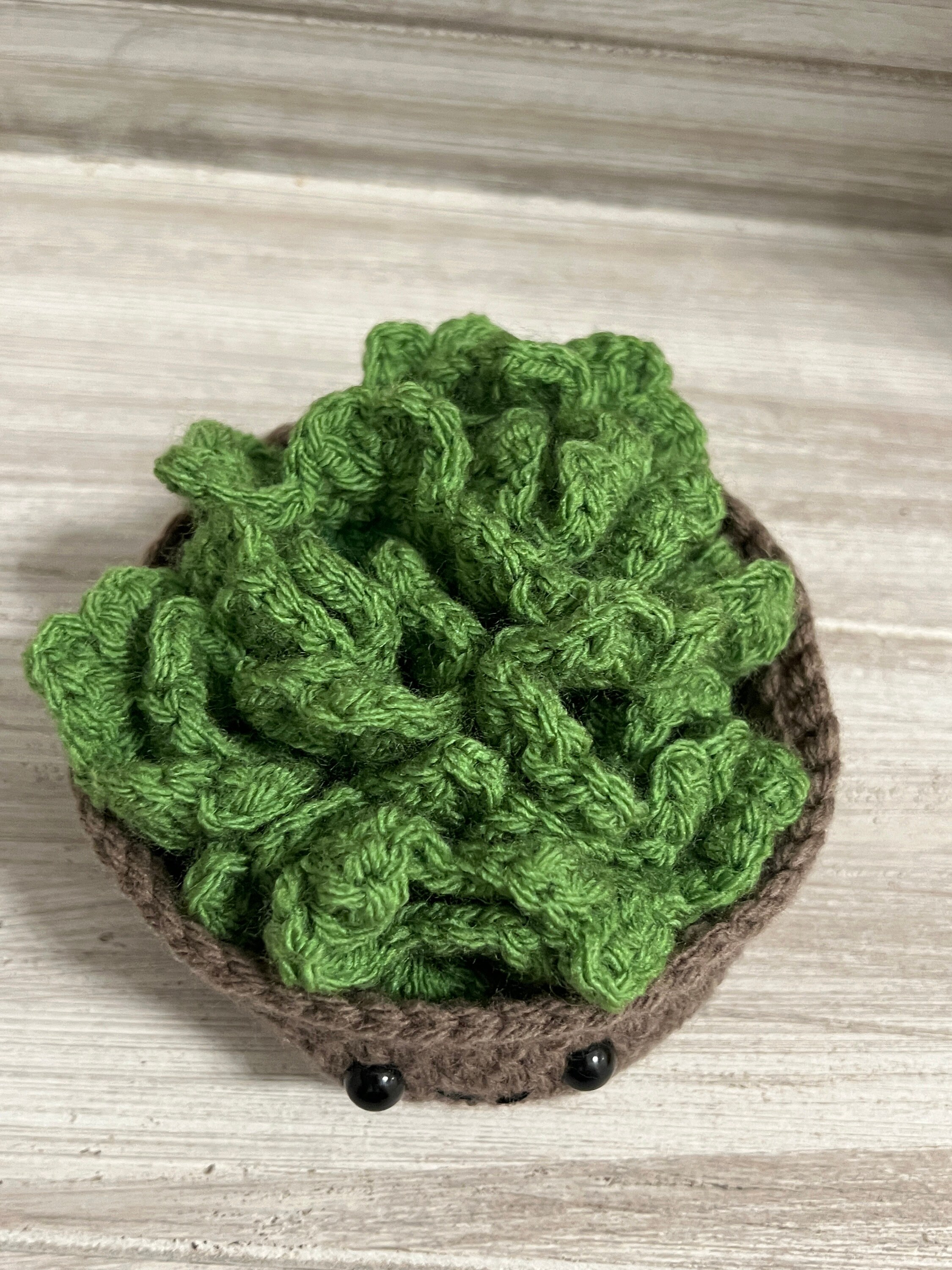 Crochet Succulent Coasters - Etsy