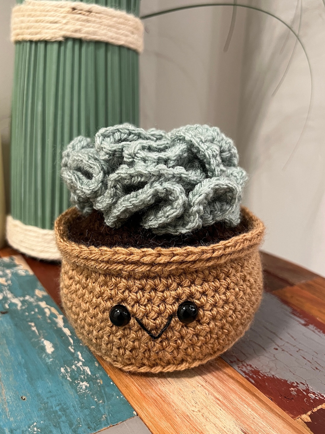 Brain Cactus Succulent - Etsy