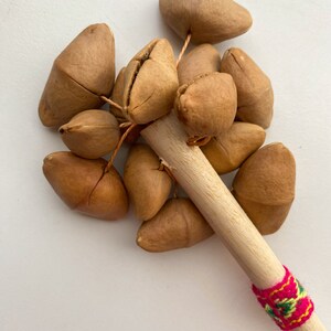 Handmade Peruvian Nut Shell Shaker Percussion Instrument Shamanic ...