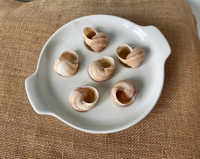 2 Ceramic Snail Plates, Snail Service, Snail Dish, Snail Mold, French ...