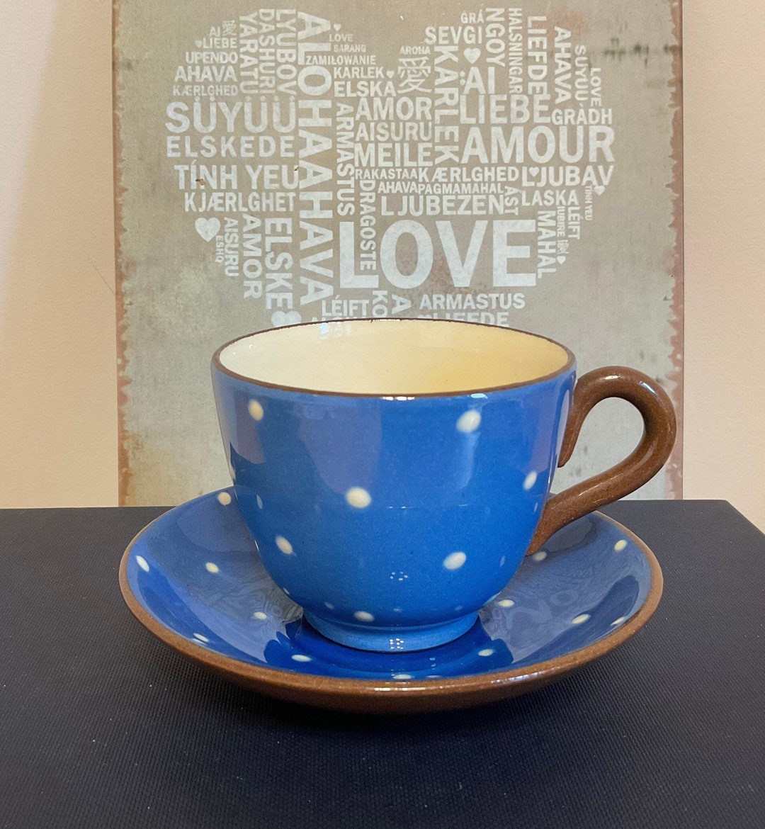 Cute Single Devonshire Pottery Teacup and Saucer, Devon Pottery, Polka ...