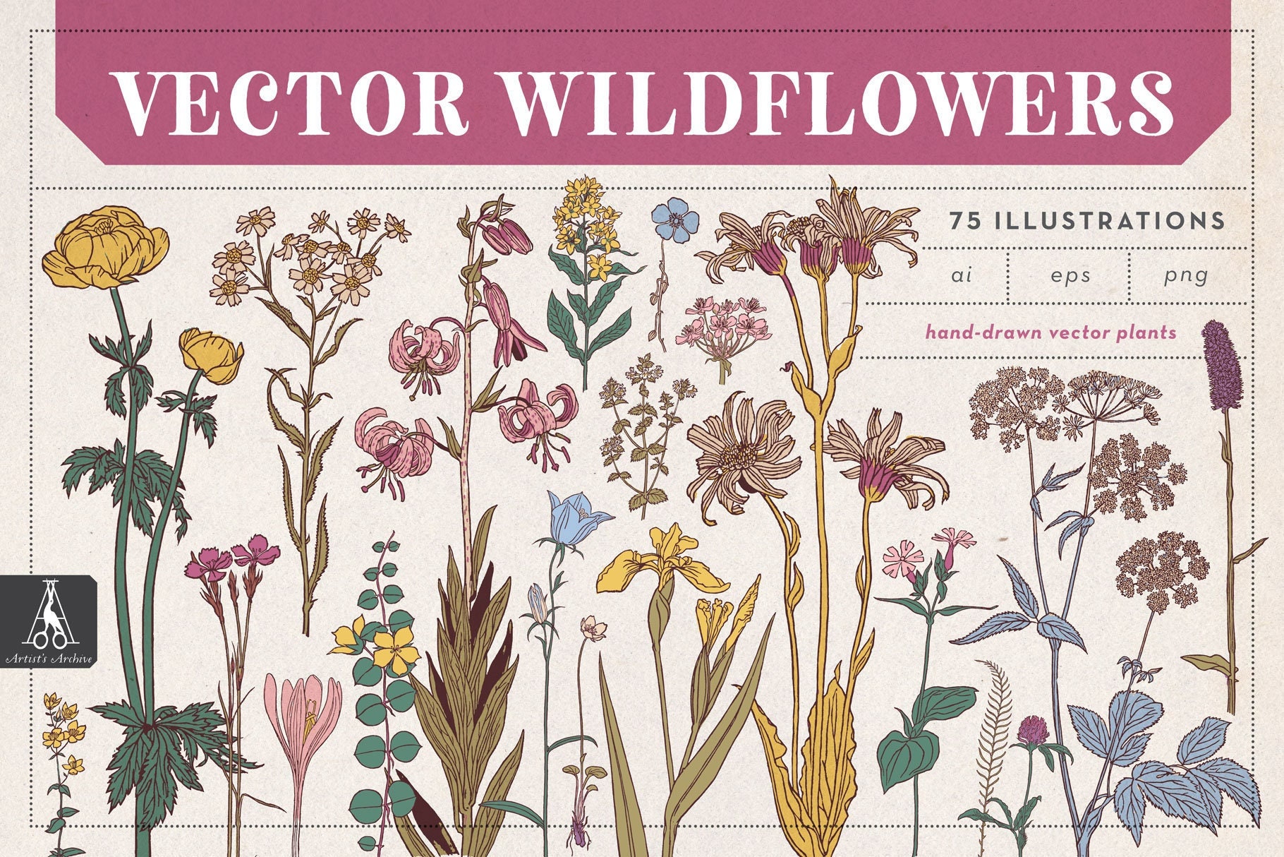 Wildflower Illustrations, Clip Art, Vector, Flowers , Plants - Etsy