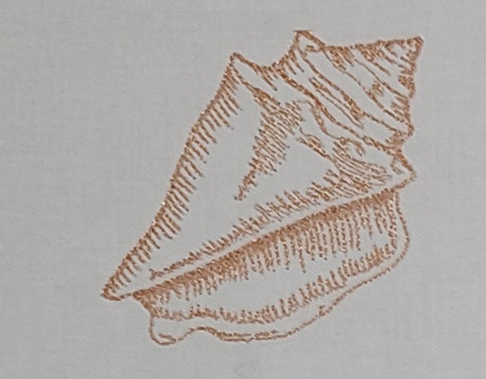 Conch Shell Machine Embroidery Design - Etsy