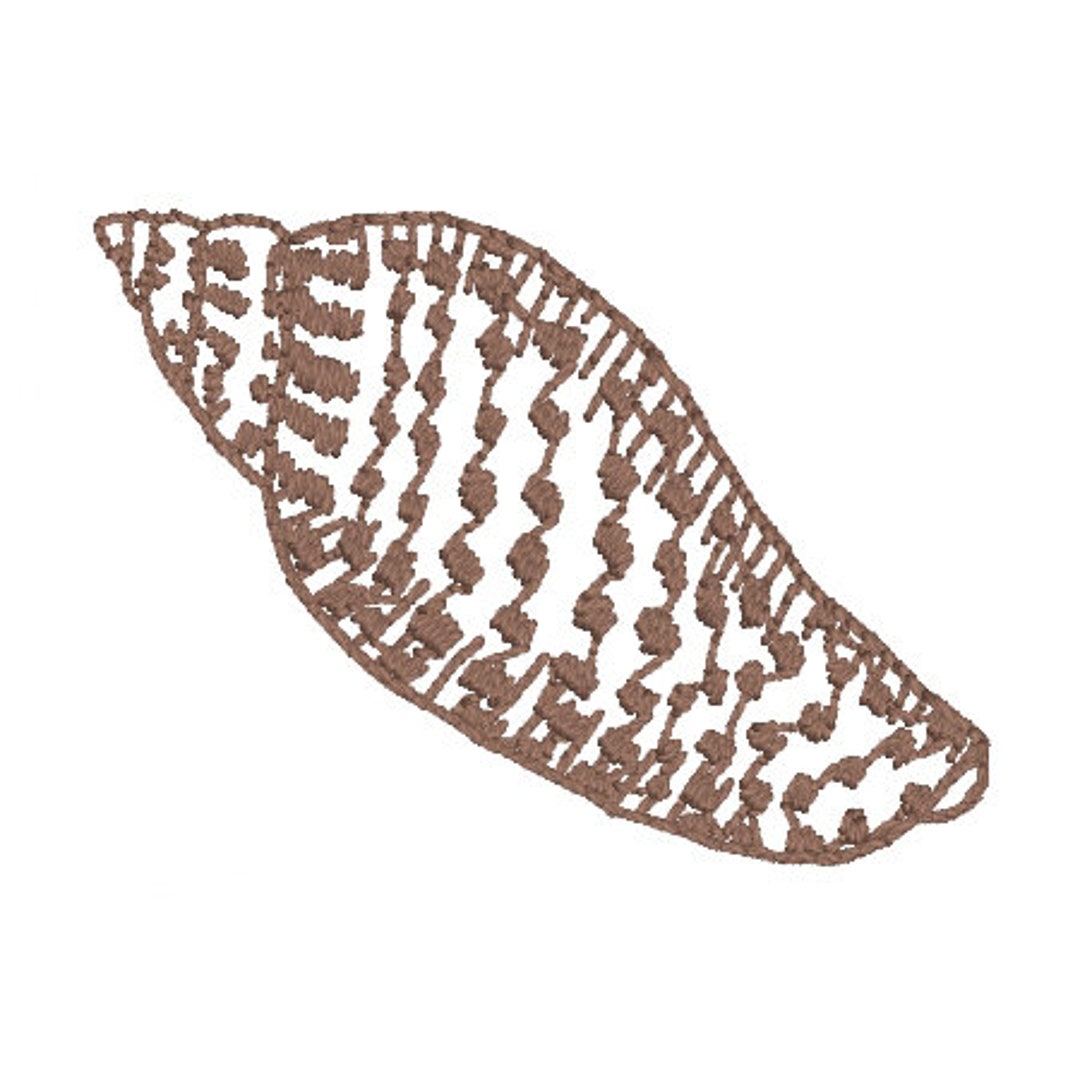 Junonia Shell Machine Embroidery Design - Etsy