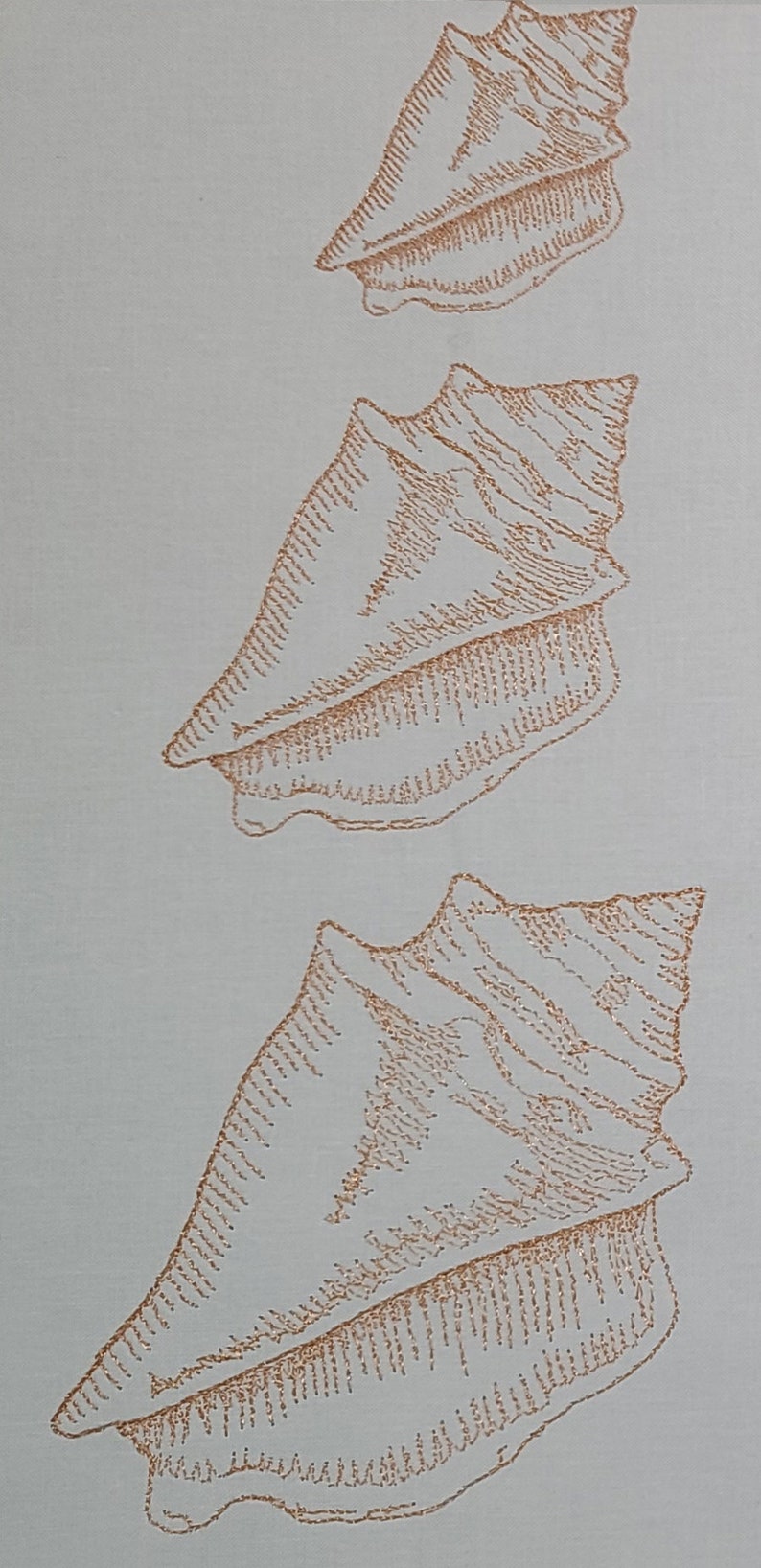 Conch Shell Machine Embroidery Design - Etsy