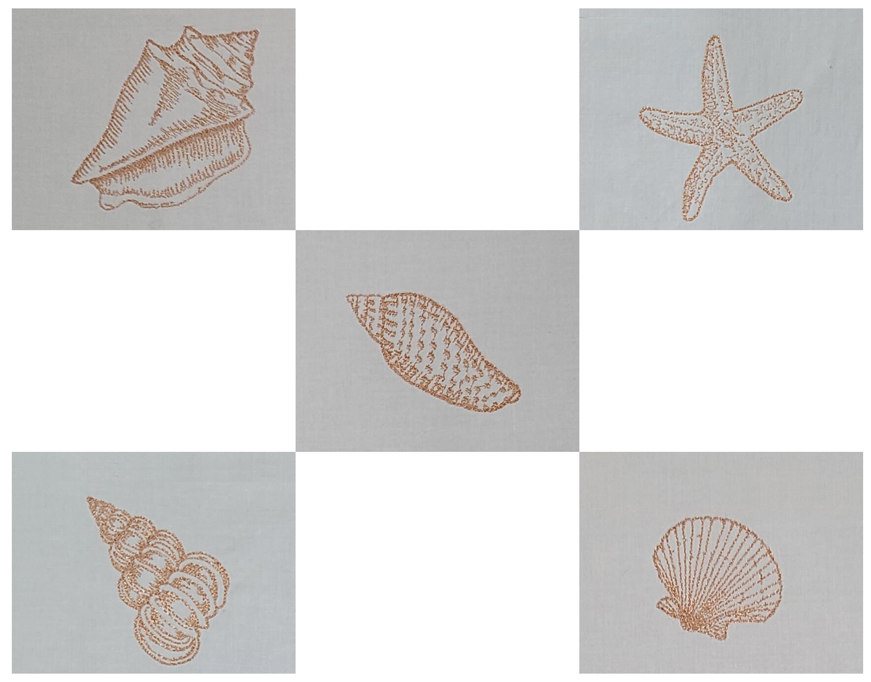 Seashell Bundle Machine Embroidery Design - Etsy