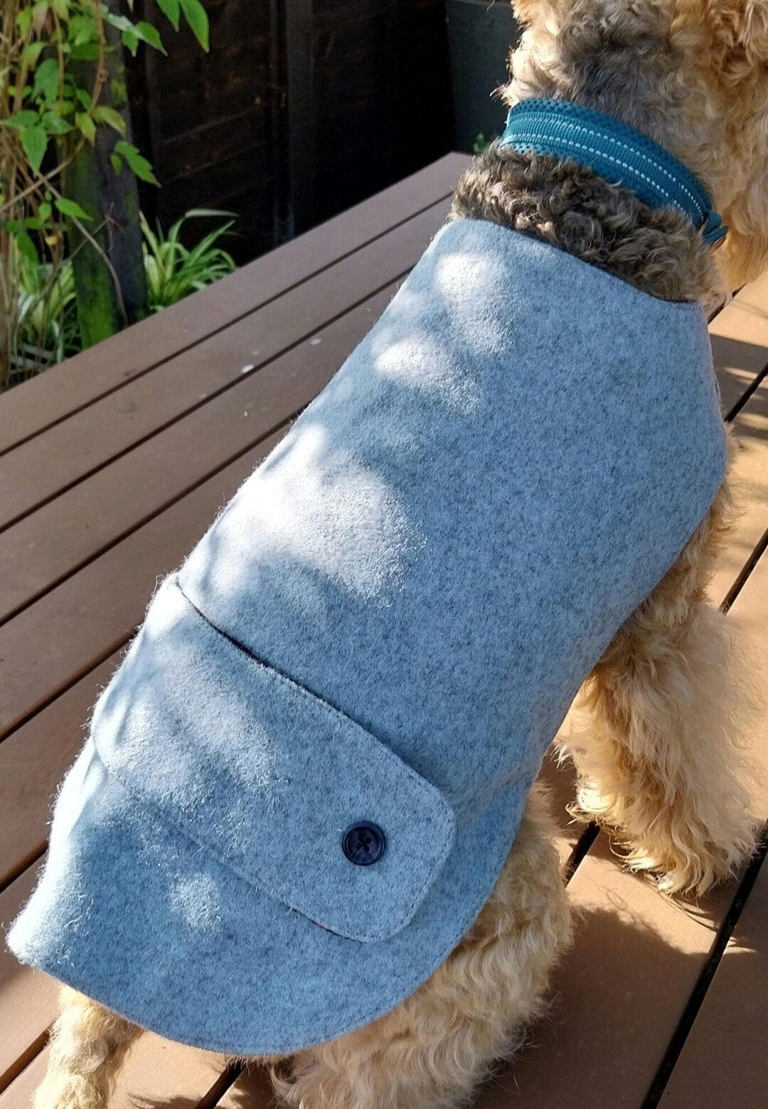 British Wool Dog Coat: Light Blue Corduroy Lined, Size Small - Etsy