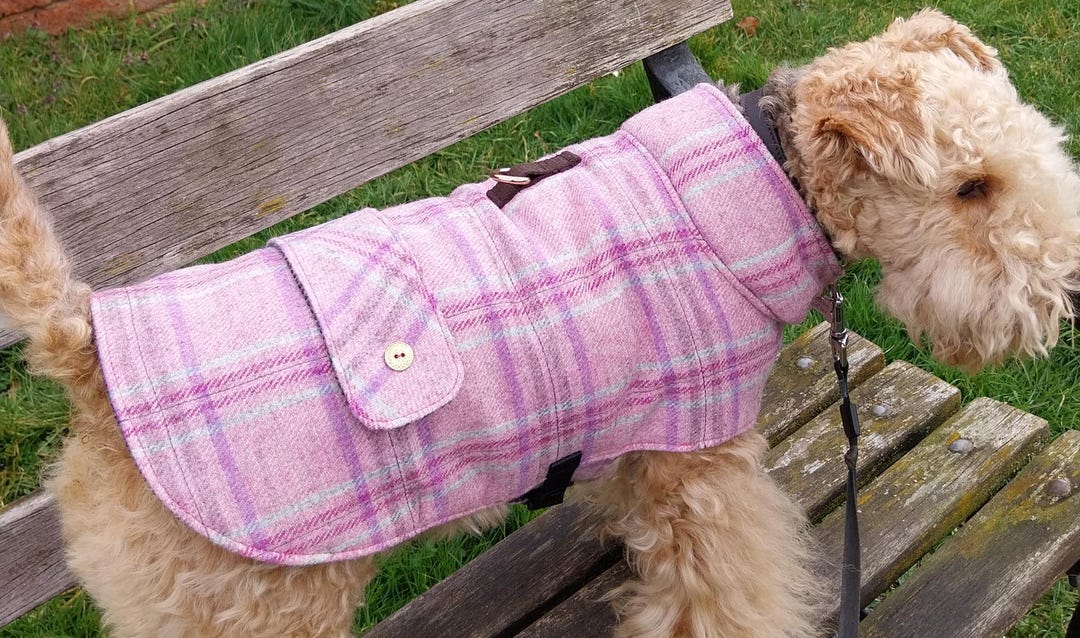 British Wool Dog Coat: Pink Quilted Check,corduroy Lined,handmade UK - Etsy