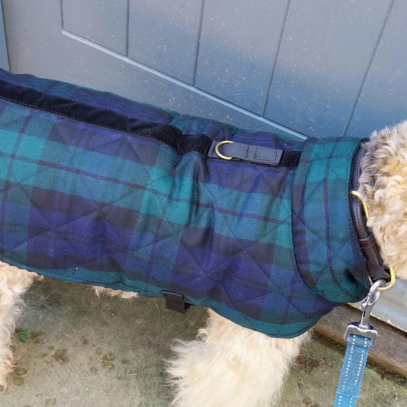 Green Tartan Dog Coats - Etsy UK