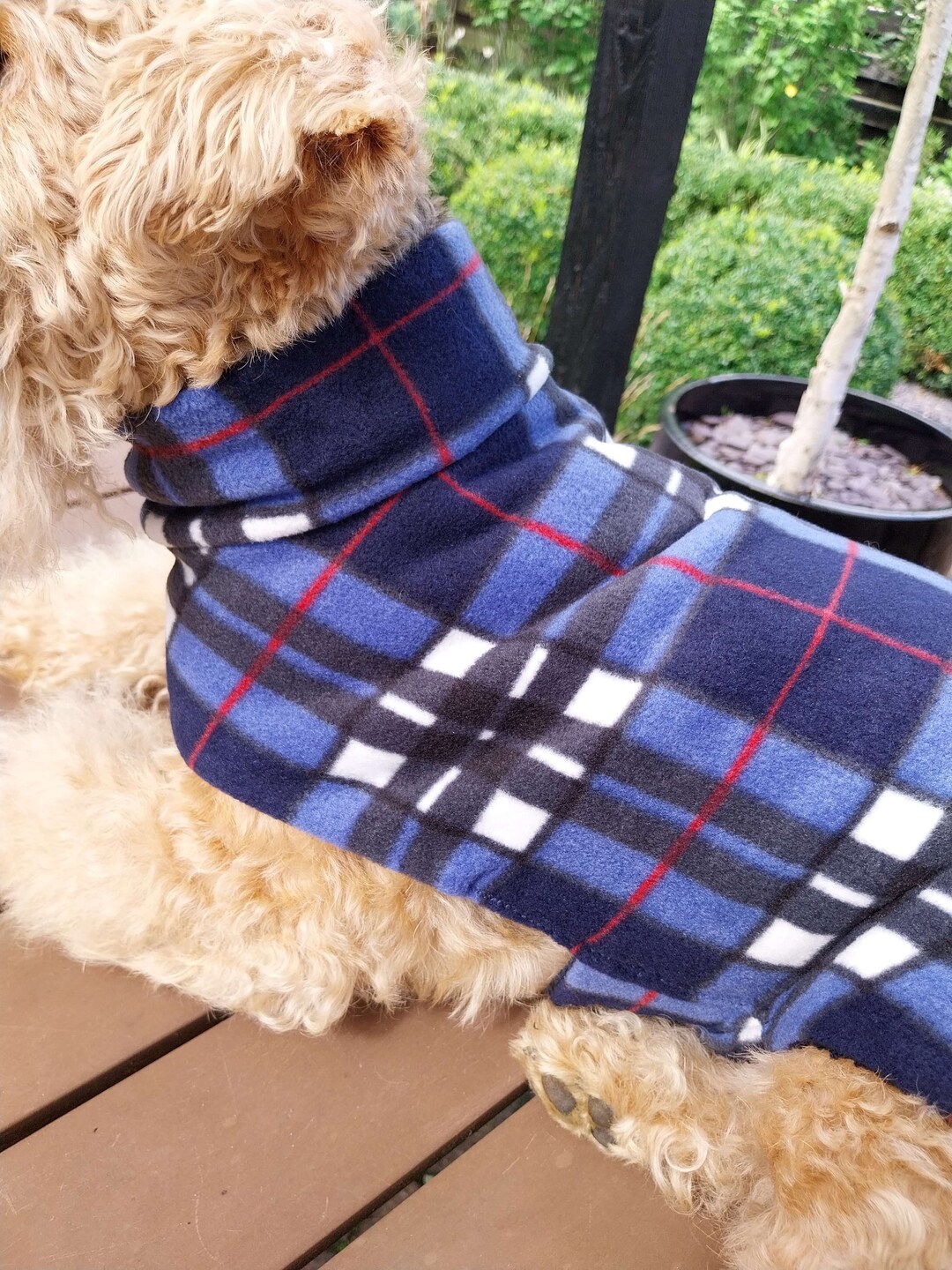 Dog Dry Coat in Warm Fleece With Absorbent Towelling Lining,size Xs ...