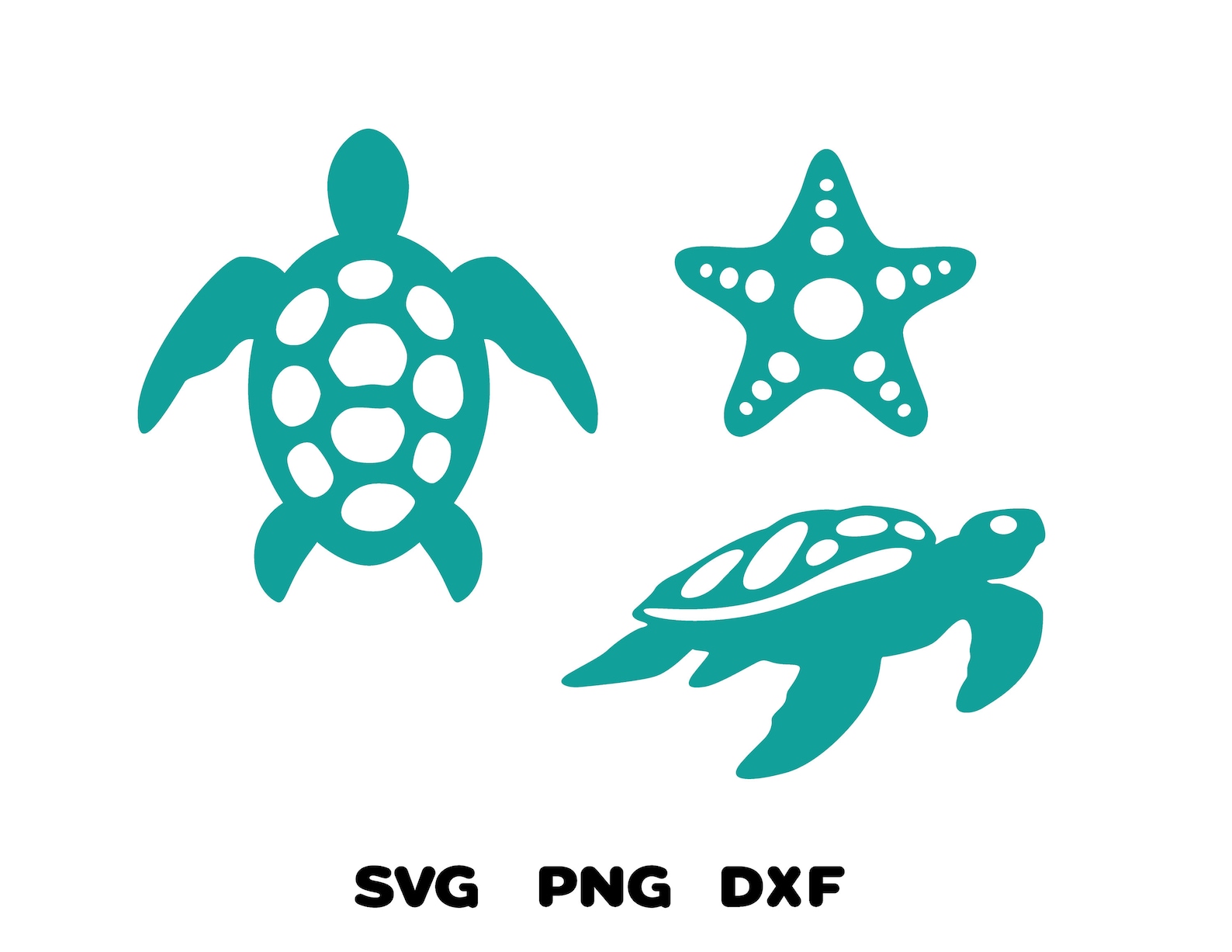 Sea Turtle Decal Svg
