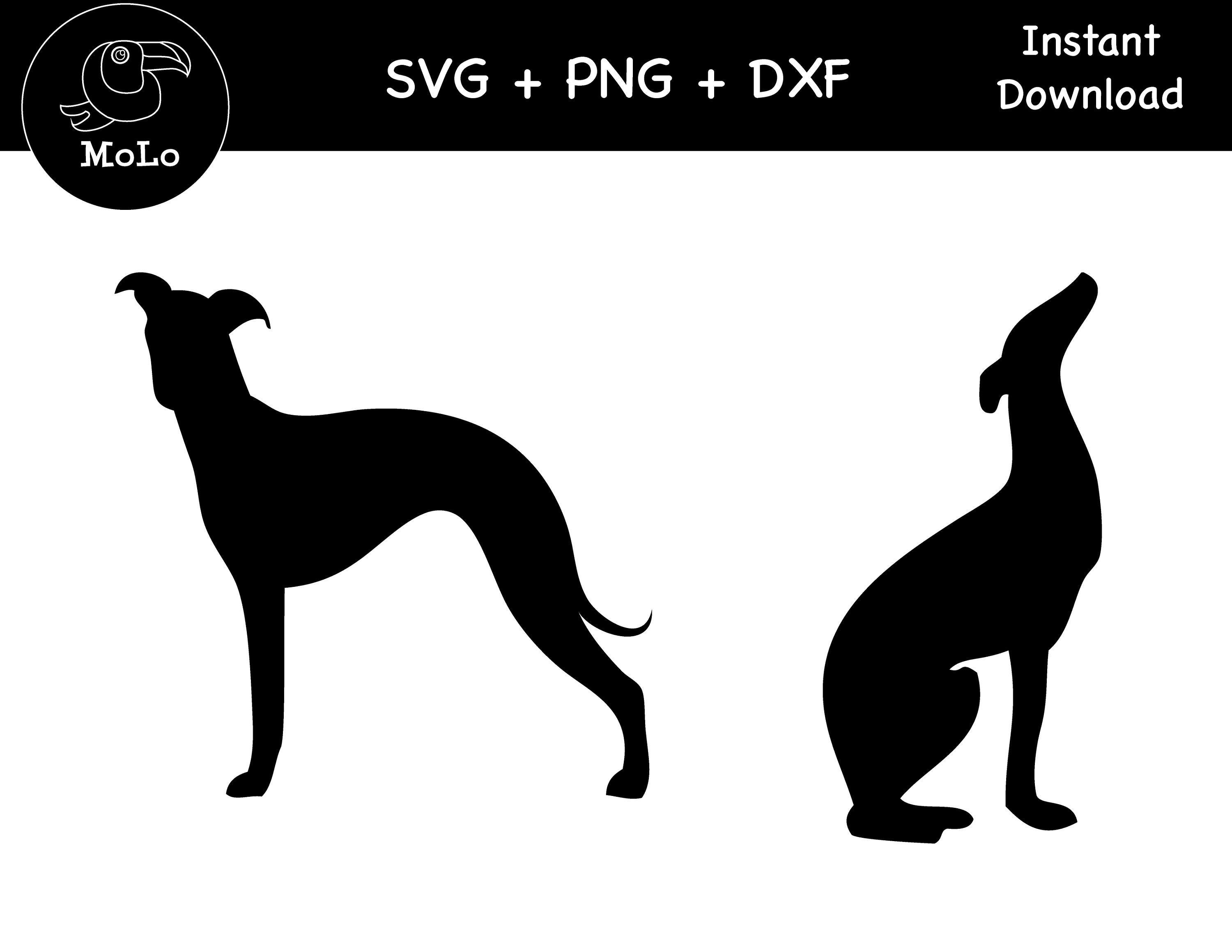 Greyhound Svg, Calcomanía De Perros Galgos, SVG, PNG, DXF - Etsy UK