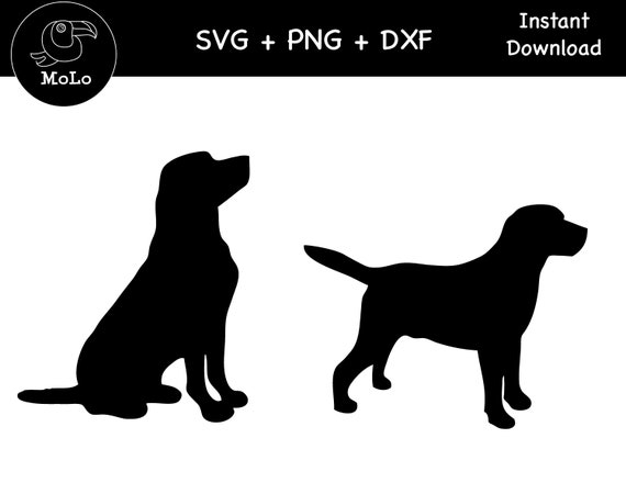 Prints black labrador svg Labrador svg bundle Labrador svg Art ...