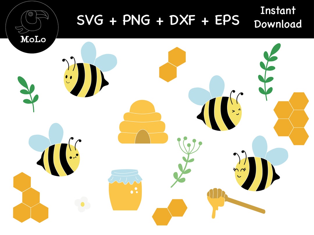 Funny Bee Svg Layered, Cute Bee Cricut, Bee Clipart, Honey Bundle - Etsy