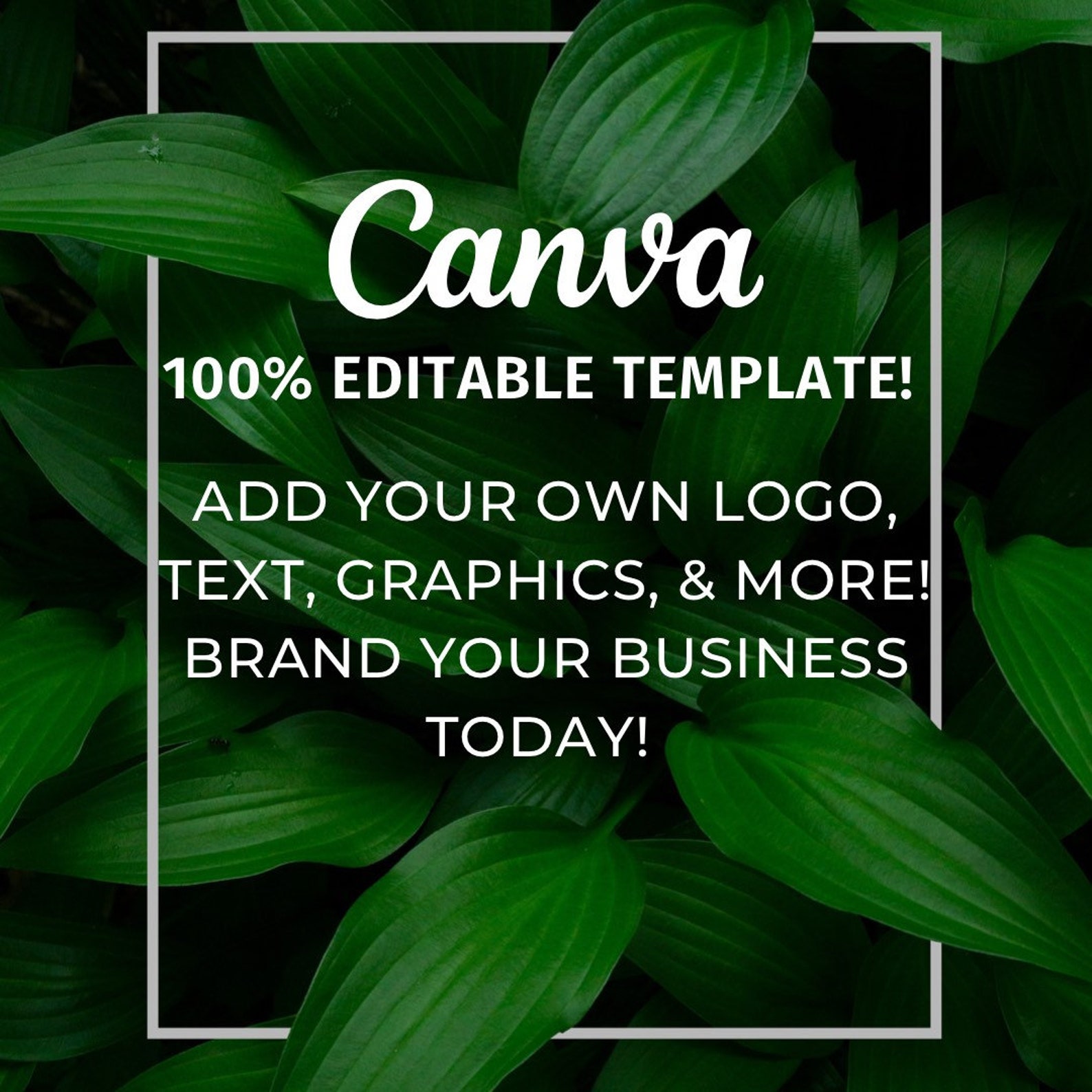 6 DIY Canva Flyers Template Pack Boutique Flyer Meet the | Etsy