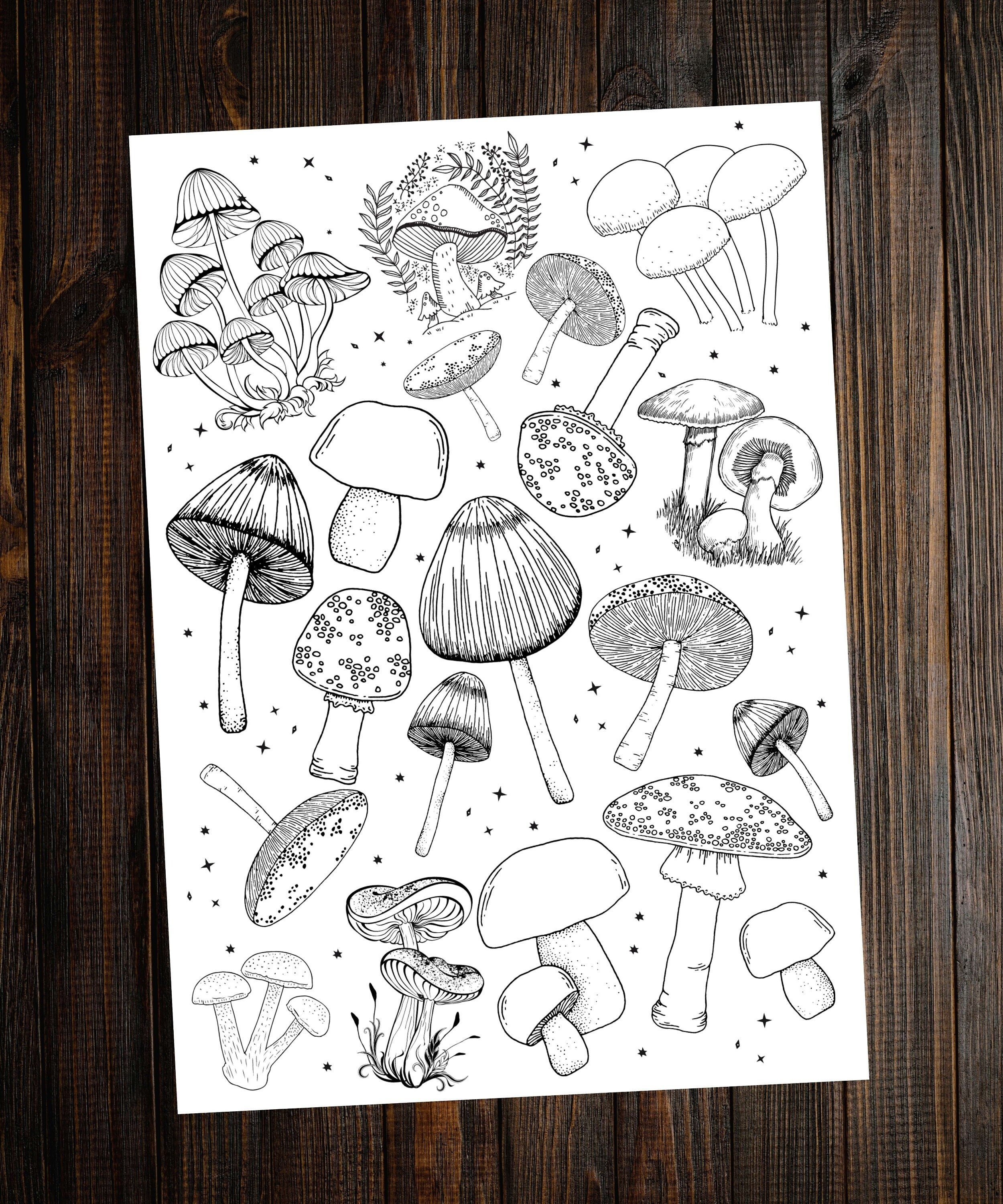 Magic Mushroom Printable Coloring Page, Witchy Coloring Page, Printable ...