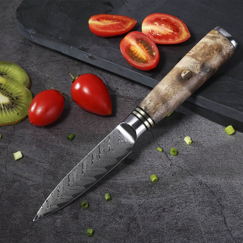 Damascus Paring Knife Sea Salt: Plain & Easy 3.5in Japanese Style ...