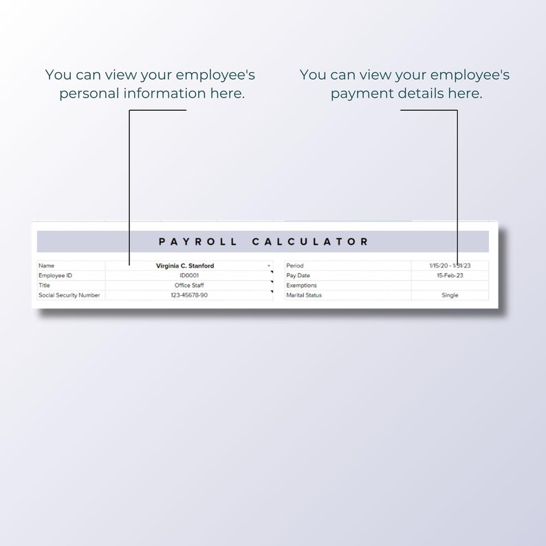 Professional Pay Slip Template for Contractors and Employees, Fillable ...