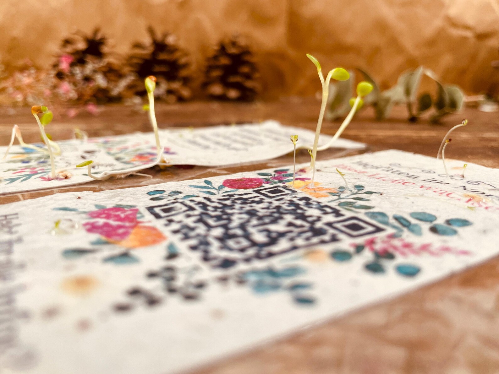 Nachhaltige Karte zum Einpflanzen aus Saamenpapier Karte mit ...