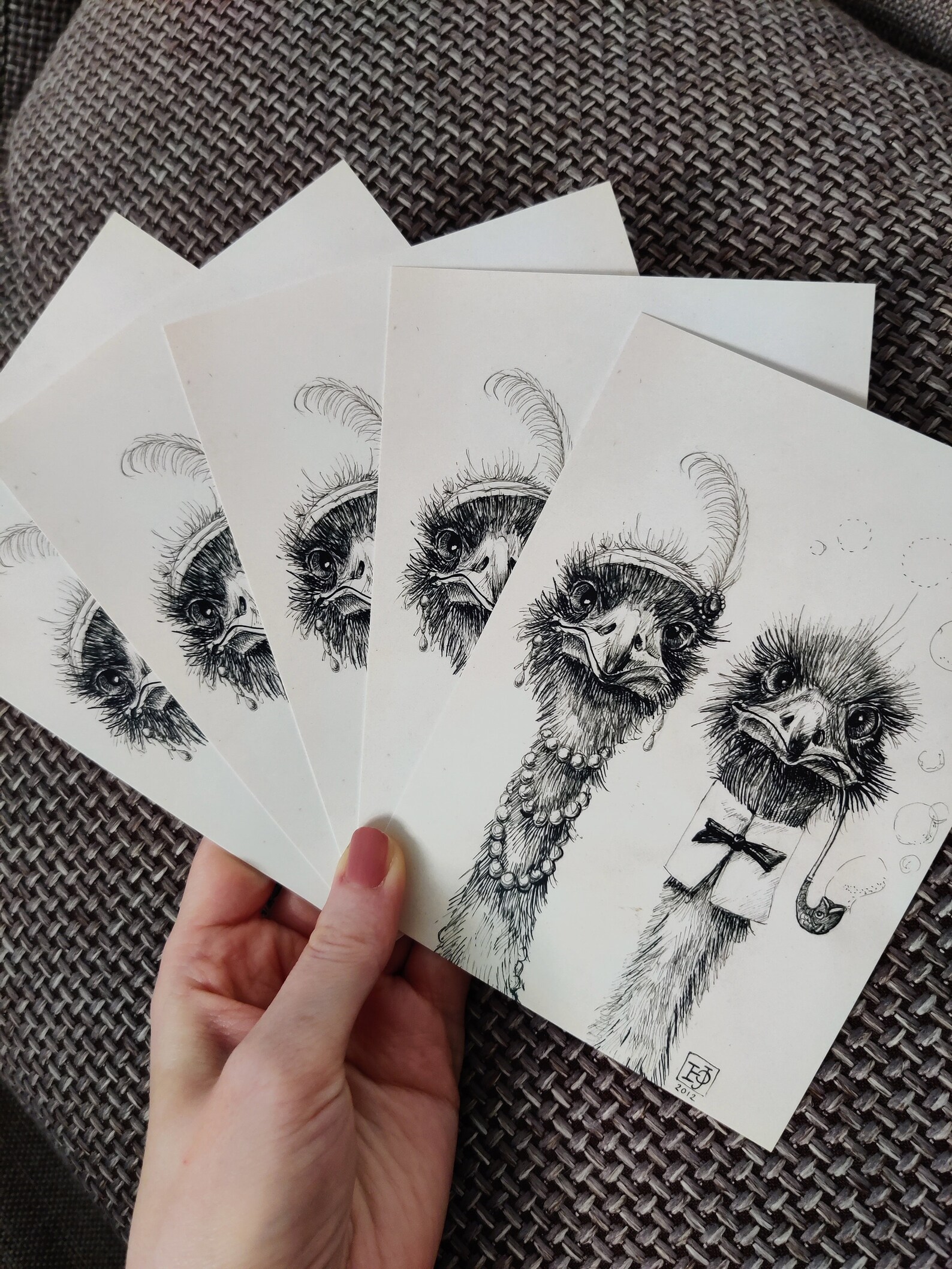Mr and Mrs Ostrich Pair of Ostriches Ink Drawing Postcard - Etsy