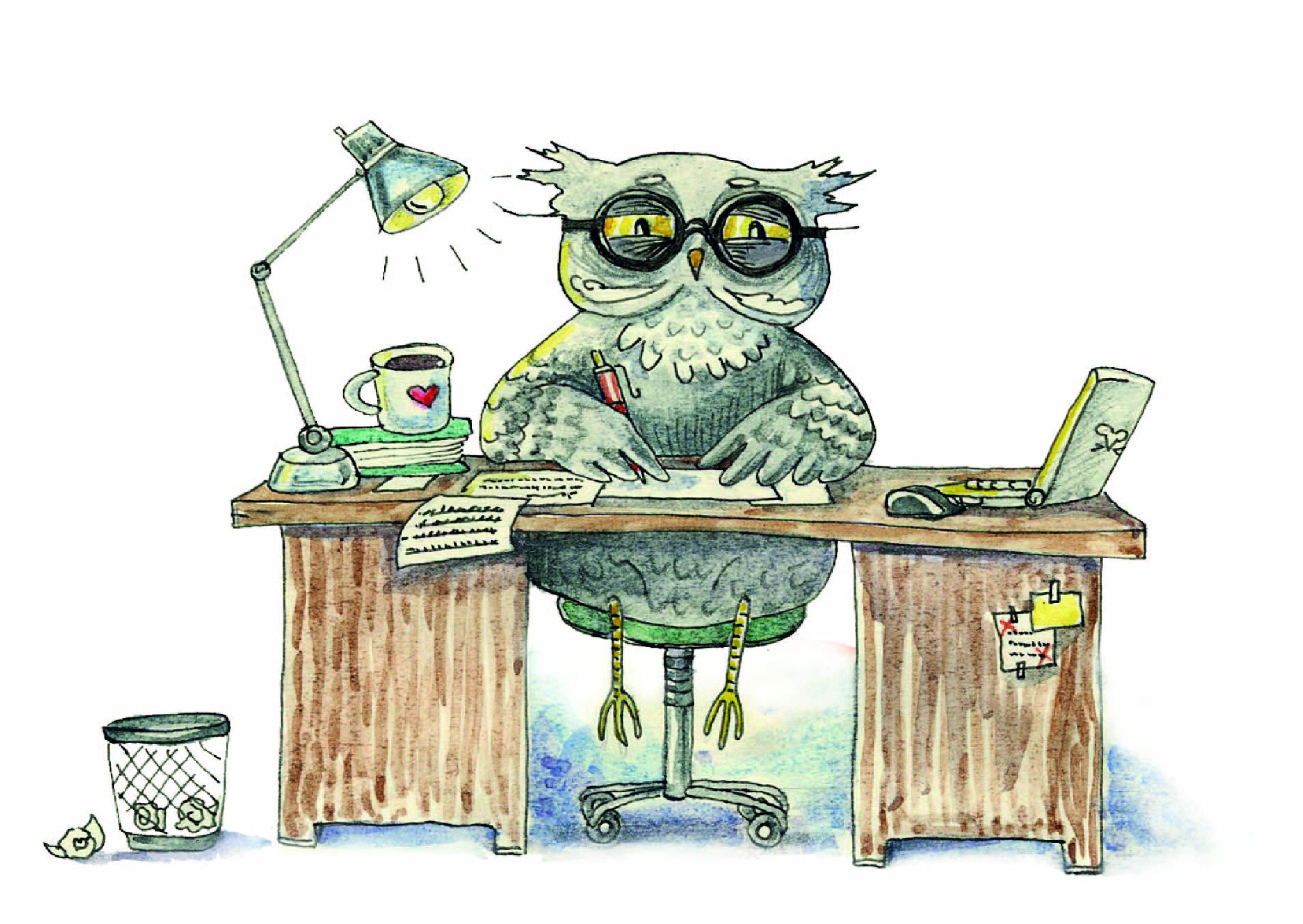 Workaholic Owl Postcard Office Humor Late Hours Co-worker Card ...