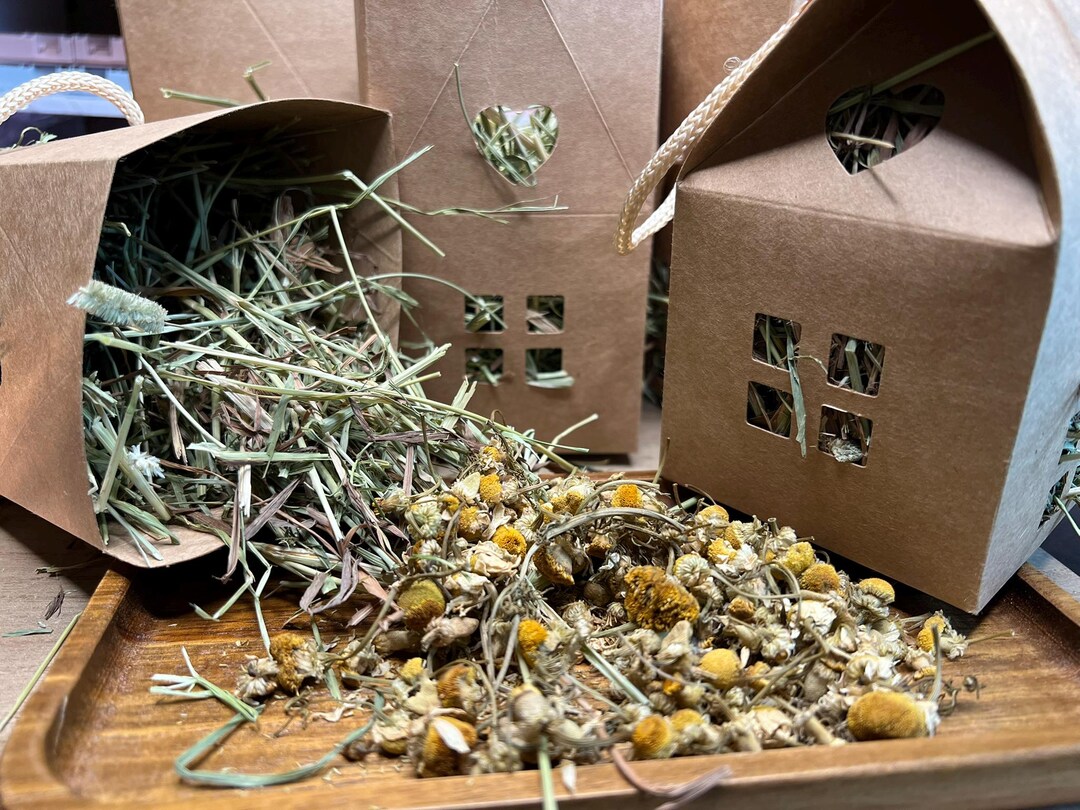 Foraging Timothy Chamomile House - Etsy