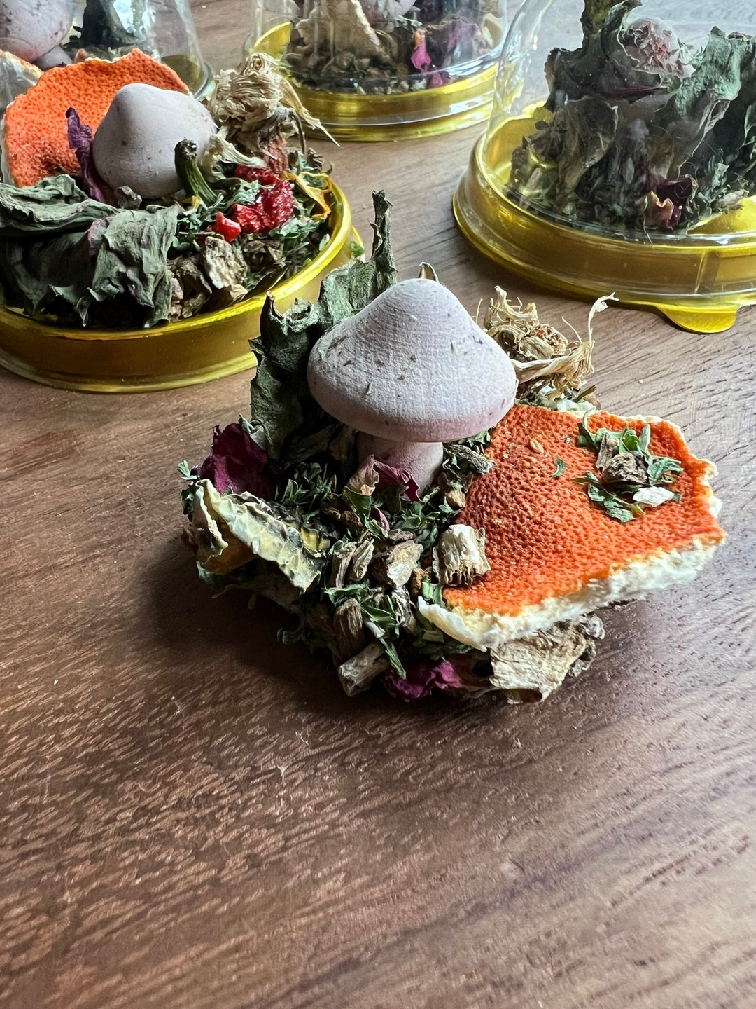 Mushroom Forrest Diorama - Edible Art for Small Pets - Etsy