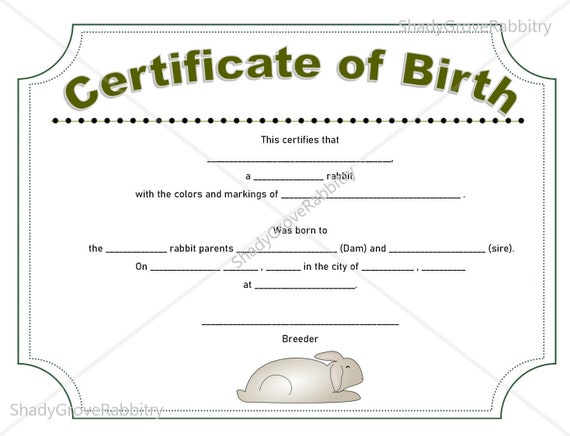 Cartoon Birth Certificate Birth Certificate Designs, Themes, Templates