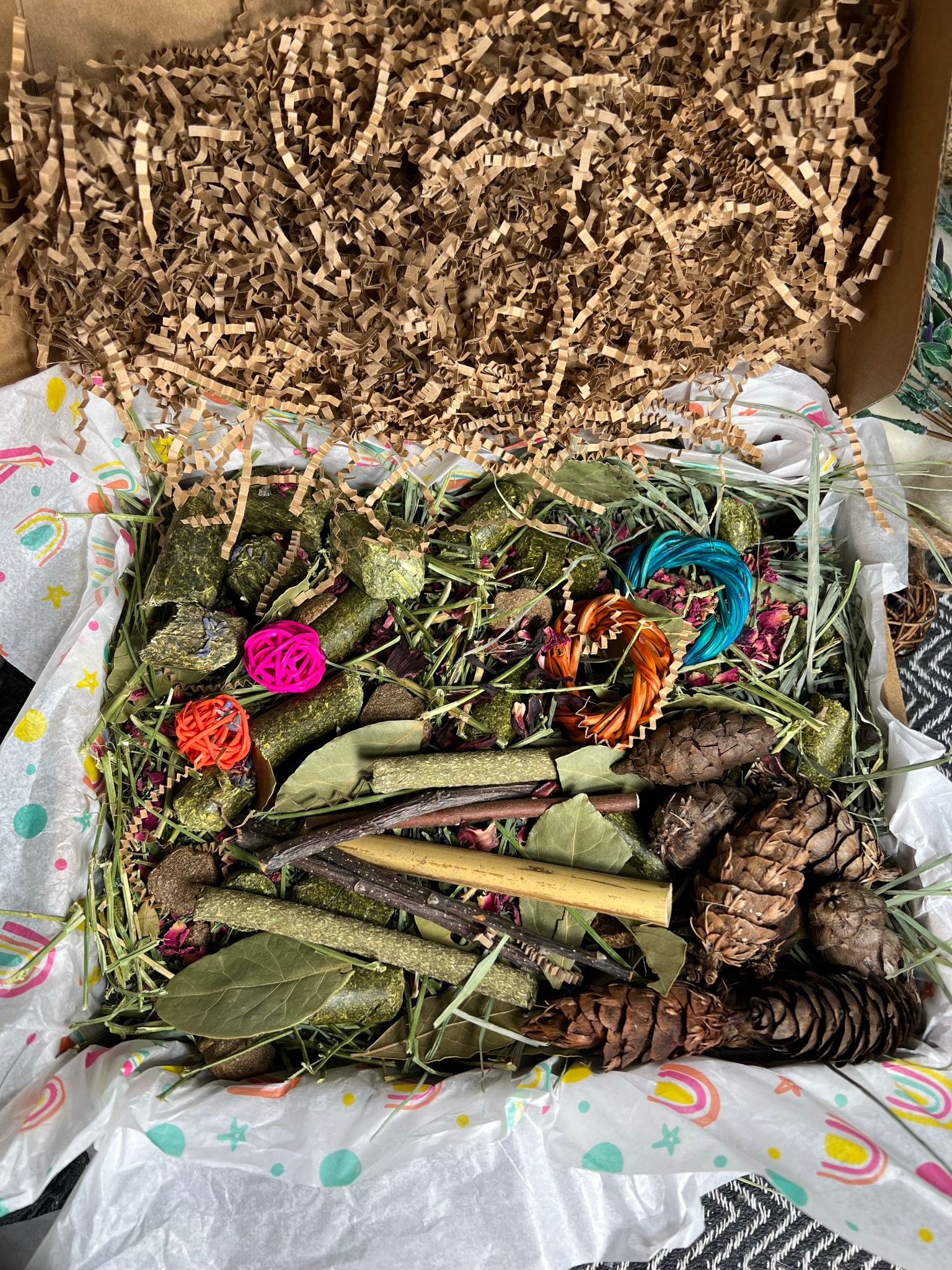 Busy Bunny Foraging Box - Etsy