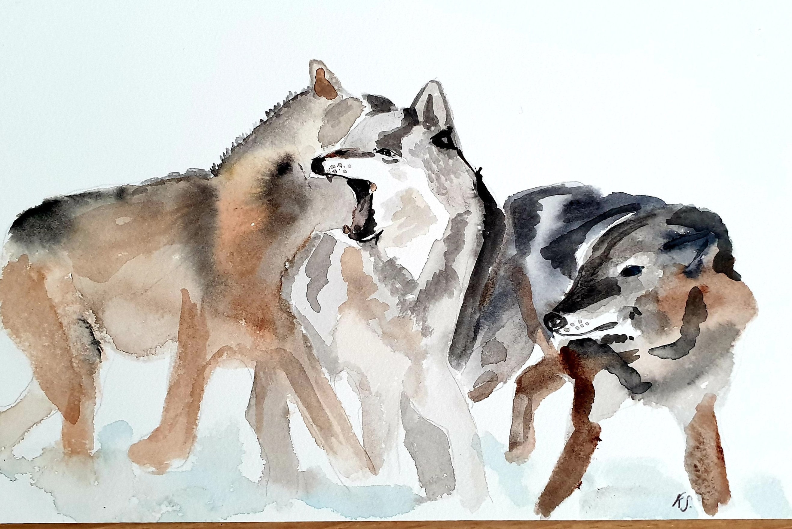 Original watercolour painting pack of wolves Art wall decor | Etsy