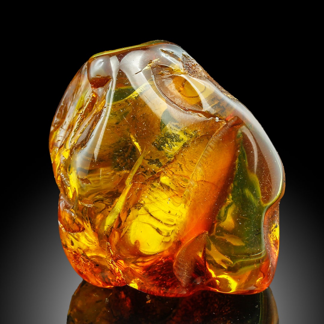 Natural Lithuanian Amber From the Baltic Sea - Unique Piece of Nature ...