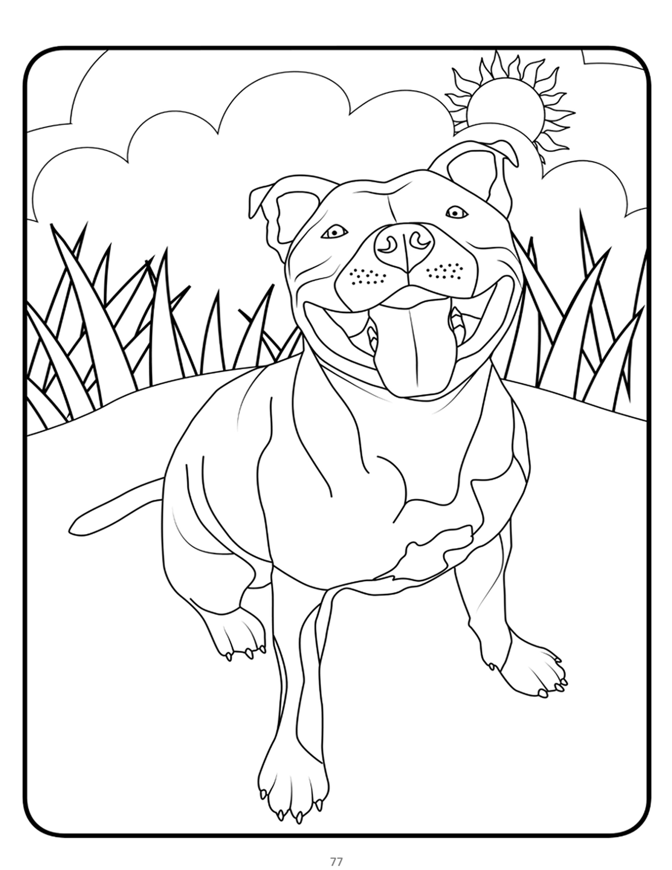 Pit Bull Lovers Book - Pit Bulls Gift - Pit Bull Christmas - Christmas ...