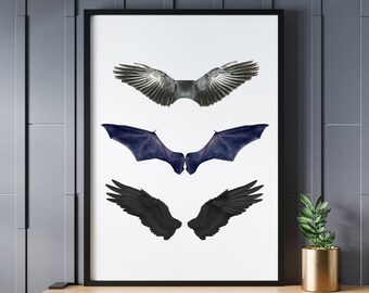 Art Print Azriel's Impressive Wingspan ACOC Exclusive sarah J Maas ...