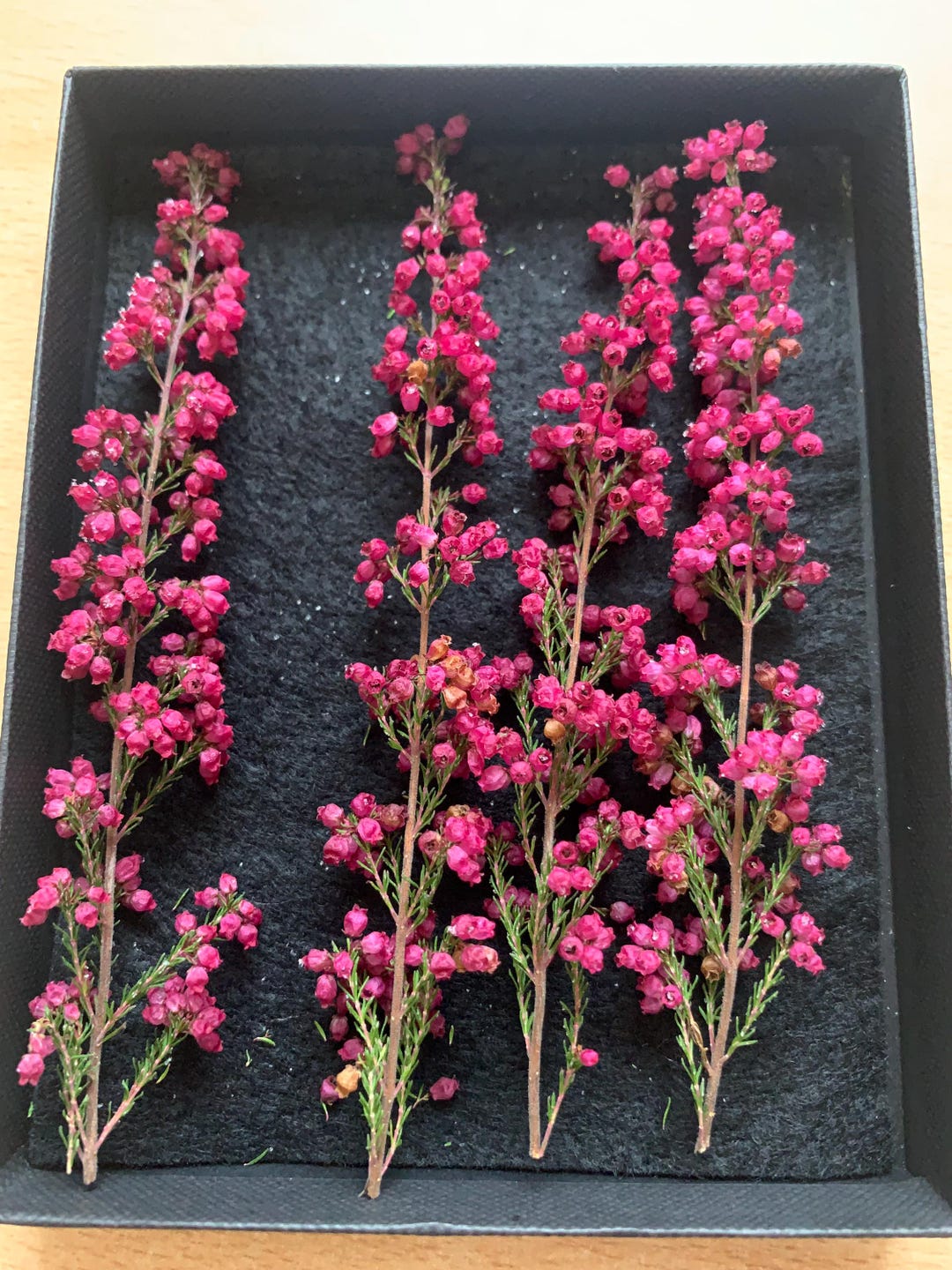 Calluna - 4 Sprigs Real Dried Flowers (heather), Natural Flowers ...
