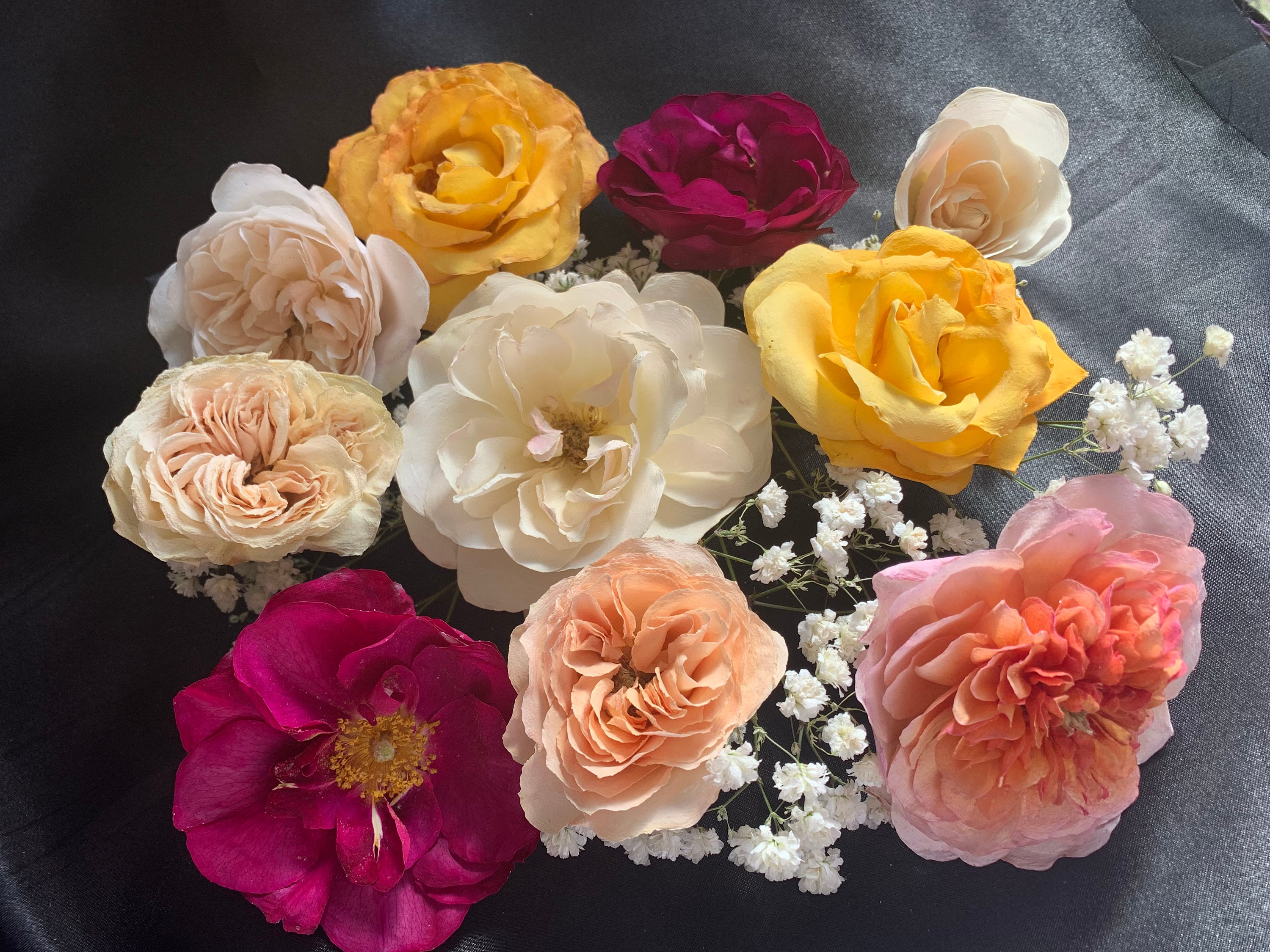 Posies Flowers Plague